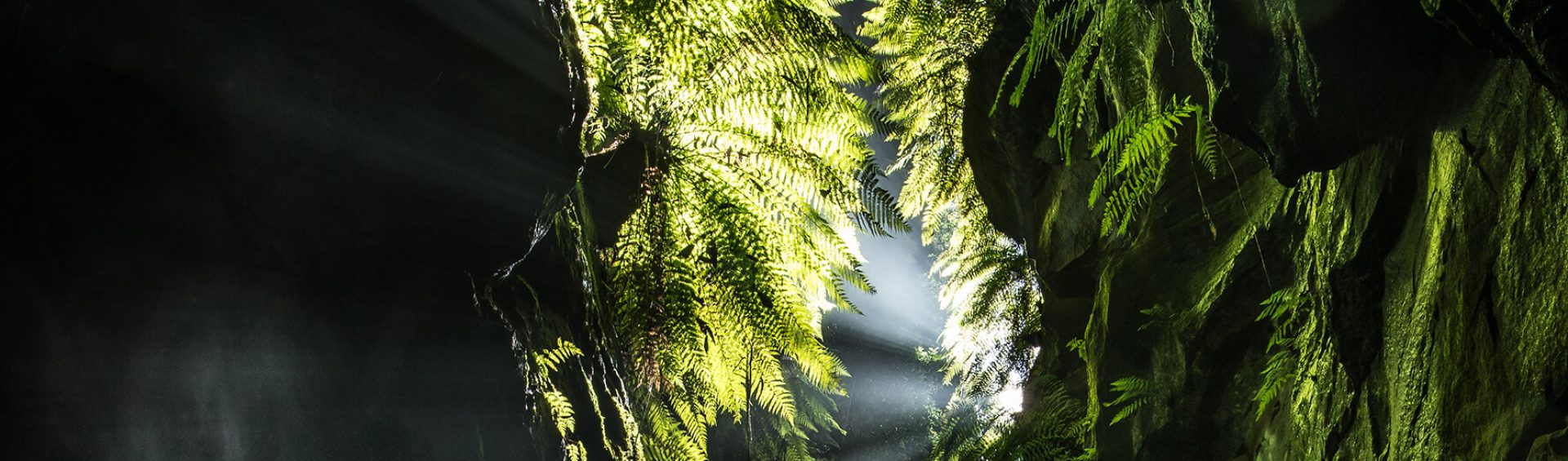 Status of Claustral Canyon in the Blue Mountains UNESCO World Heritage ...